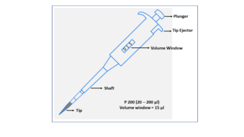 Chapter 3 – Volume Measurements using Micropipettes – Biology I ...