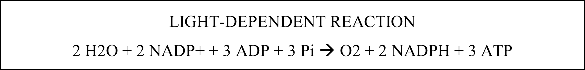 Chapter 7 – Photosynthesis – Biology I Cellular Processes Laboratory Manual